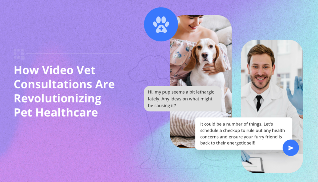 How Video Vet Consultations Are Revolutionizing Pet Healthcare • QuickBlox